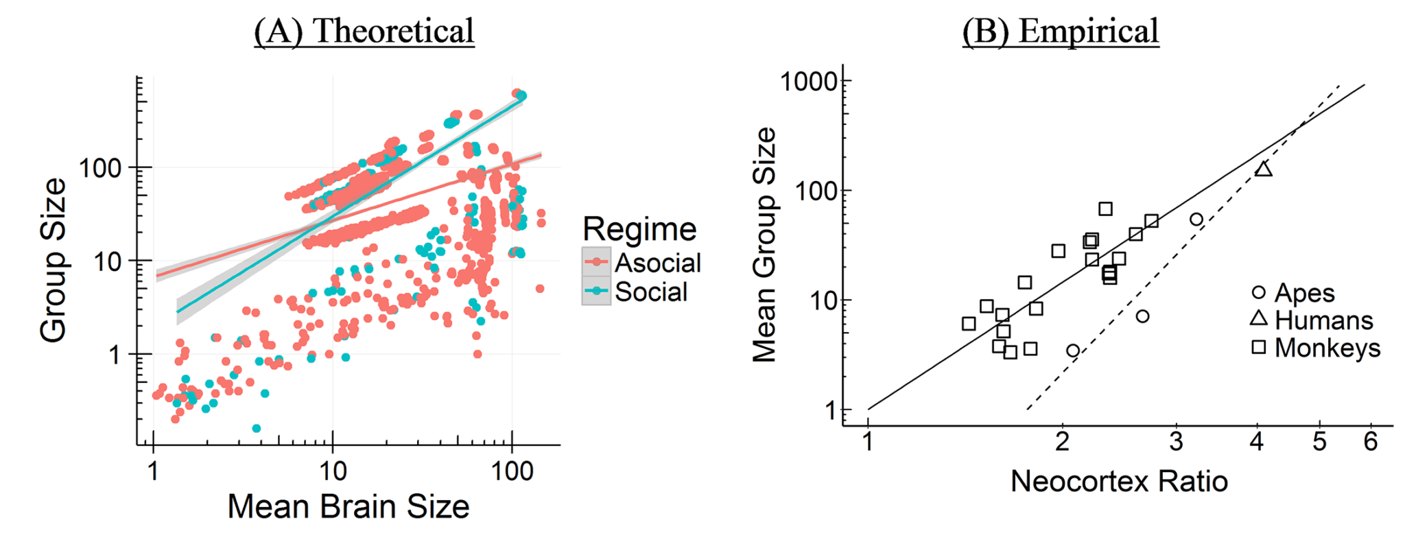 The Cultural Brain Hypothesis: How culture drives brain expansion ...