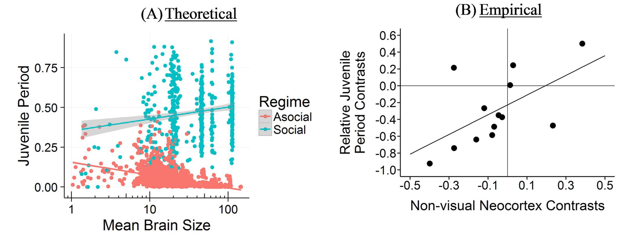 The Cultural Brain Hypothesis: How culture drives brain expansion ...