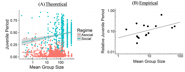 The Cultural Brain Hypothesis: How culture drives brain expansion ...